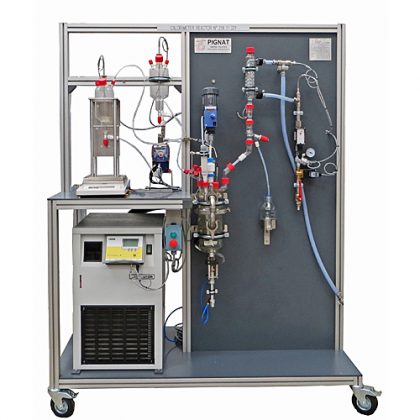 Calorimetric reactor - Pignat.com