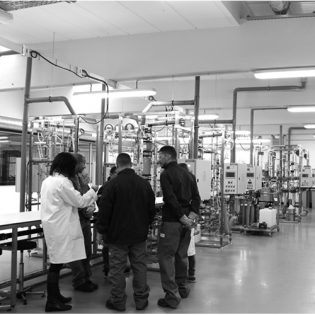 Company - Pignat.com